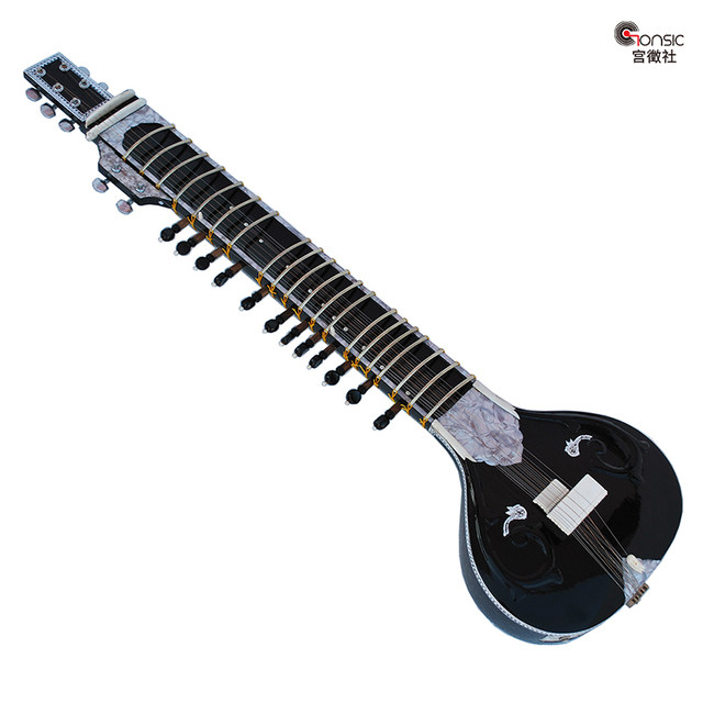 Indian Sitar SITAR Electric Box Import instrument Classical Handmade ...
