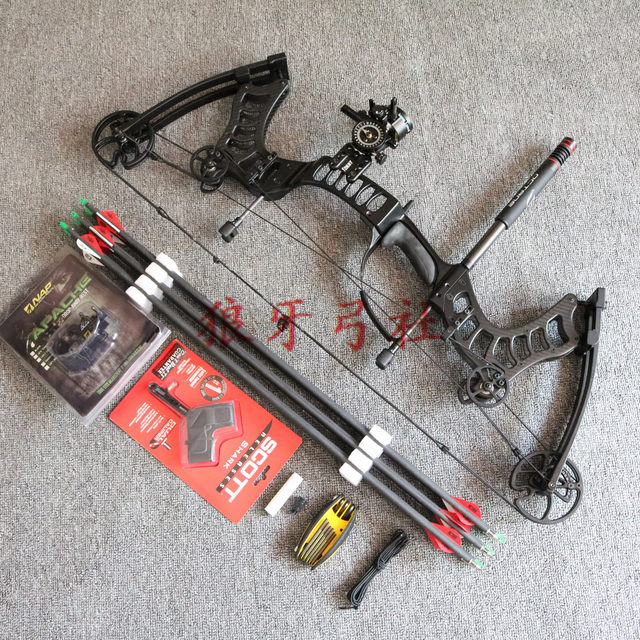 Raptor XPRO dual-purpose compound bow steel ball archery non-night ...
