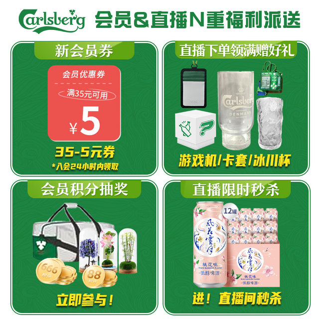 Tuborg Beer Official Flagship Store Beer FCL 500ml*24 Cans/Box Official ...