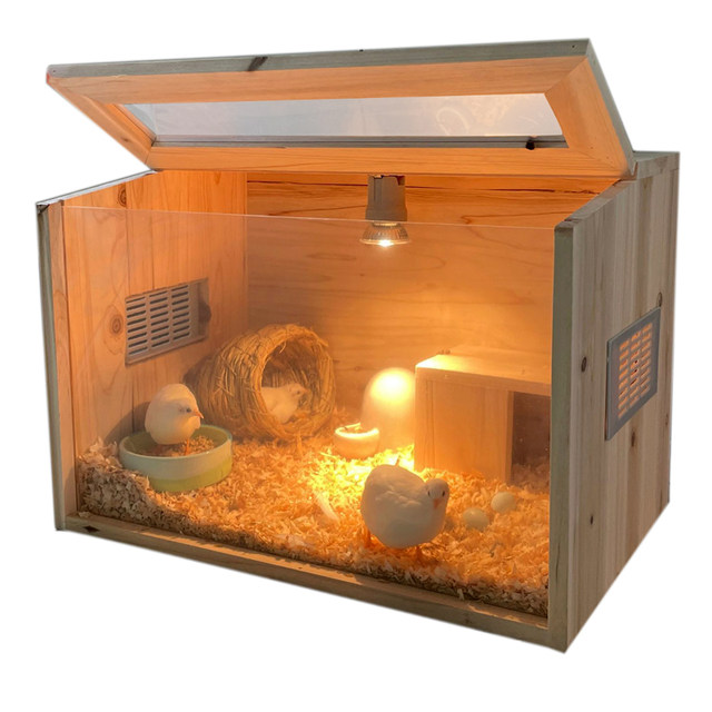 Rudin chicken breeding box Ludin chicken live parrot Cole duck bird ...