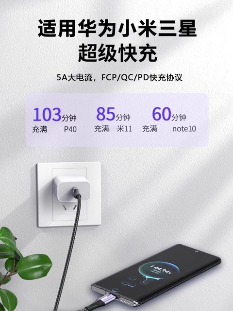 Double typec data cable double-ended pd100W fast charging ctoc charging ...
