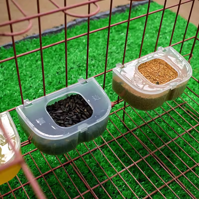 Pigeon food box transparent anti -bun box food boxes pigeon pigeon ...