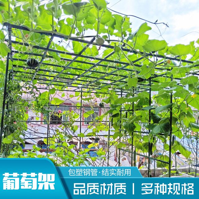 Gardening bracket plastic-coated steel pipe vegetable growing rack ...