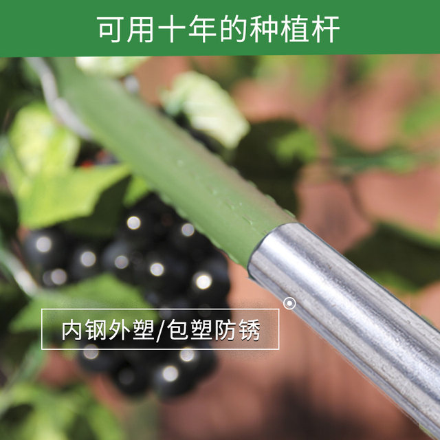 Gardening bracket plastic-coated steel pipe vegetable growing rack ...