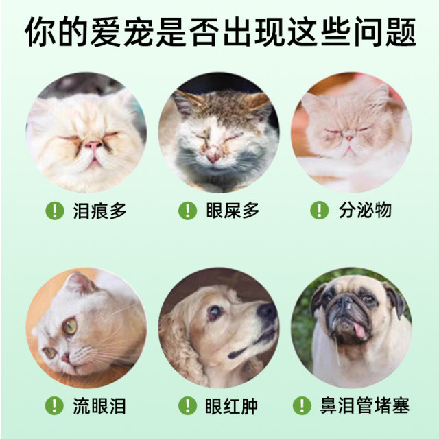 Pet cat eye drops, dog eye drops, red, swollen and inflamed eyes ...