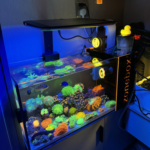 Colorful Coral Lamp Sea Tank Lamp ISEA50 Cloud Ark AR100 Light ...