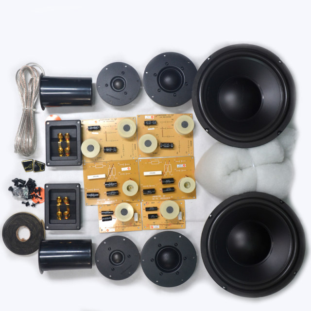 Hivi/Hivi Q1R+SS10+DMA-A+DN-B1F audio 10-inch speaker DIY fever kit