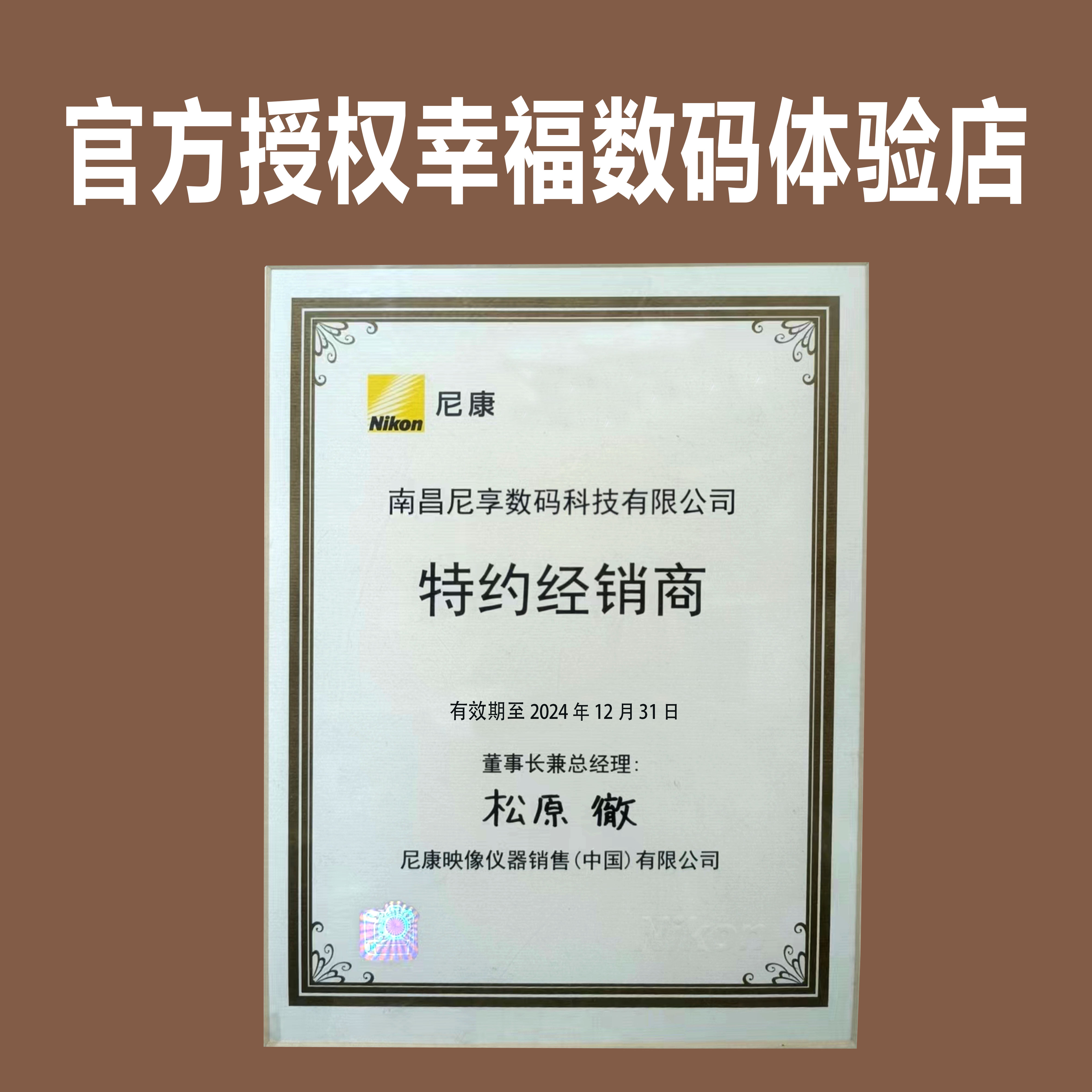 Nikon Z9 professional full-frame digital professional-grade mirrorless ...