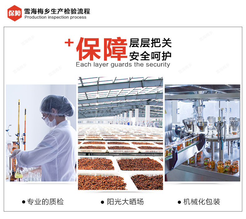 간식 - 건딸기 66g*2봉지 | 쉬에하이메이 향