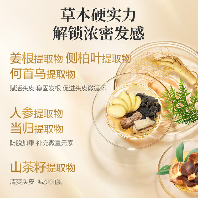 Adolf Ginger Oil Control Fluffy Shampoo Anti-hair Loss Firming Hair ...