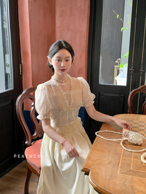 Panel Lace Lace Palace Vedic Vedic Dress