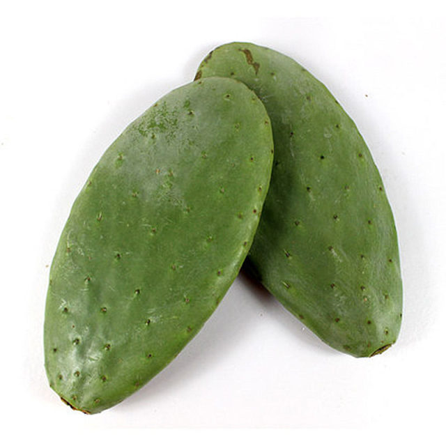 Edible cactus potted fresh medicinal external application internal ...