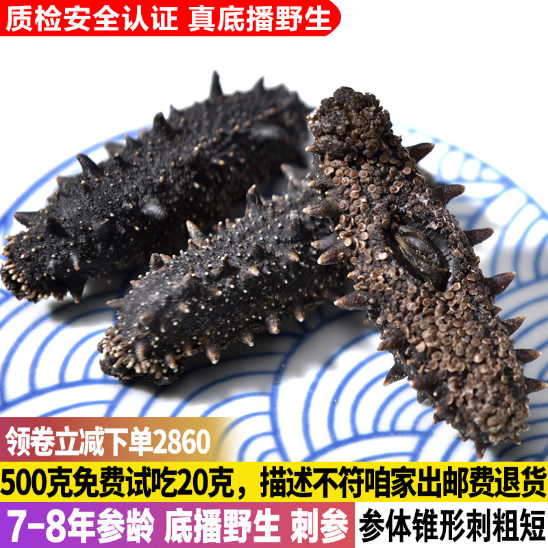 Dalian Wild Ginseng Sea Cucumber 500g - 7-8 Years Old, Light Dried