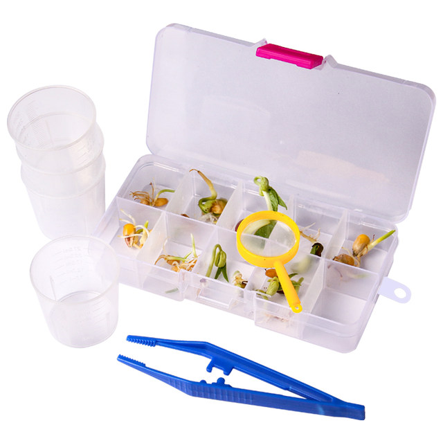 Children's creative science popularization small production seed ...