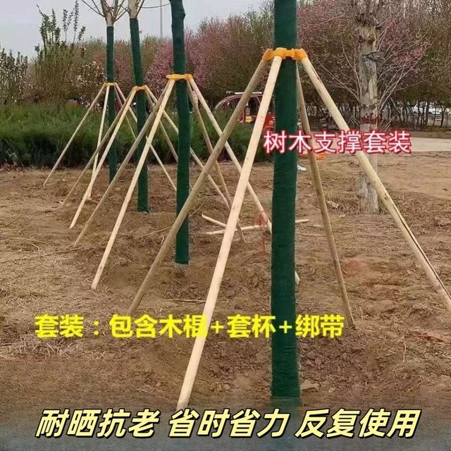 Trees support standing stands, roads, pine sticks, wooden fir trees ...