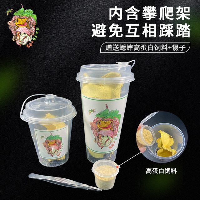 Milk Tea Cup Plear Live Oil Cucurient Oil Hulfa Lizard Lizard Lizard ...