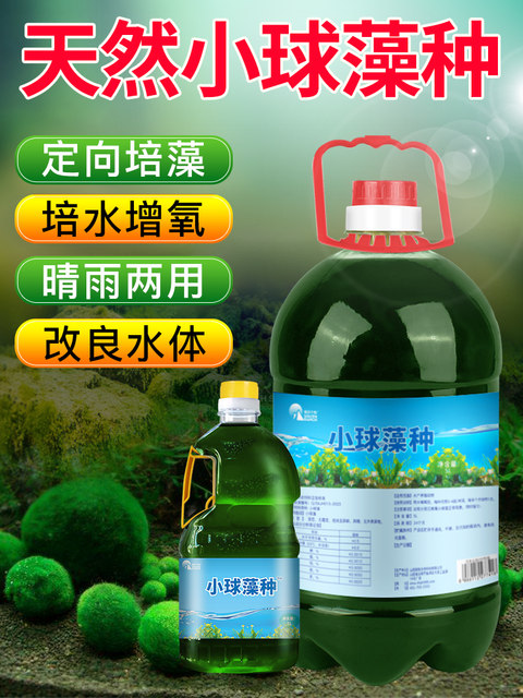 Chlorella algae concentrated compound diatom seed aquaculture fish pond ...