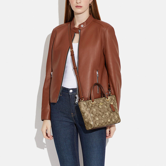 COACH/Coach Alice Series Dumpling Bag Women's Fashion Small Versatile ...