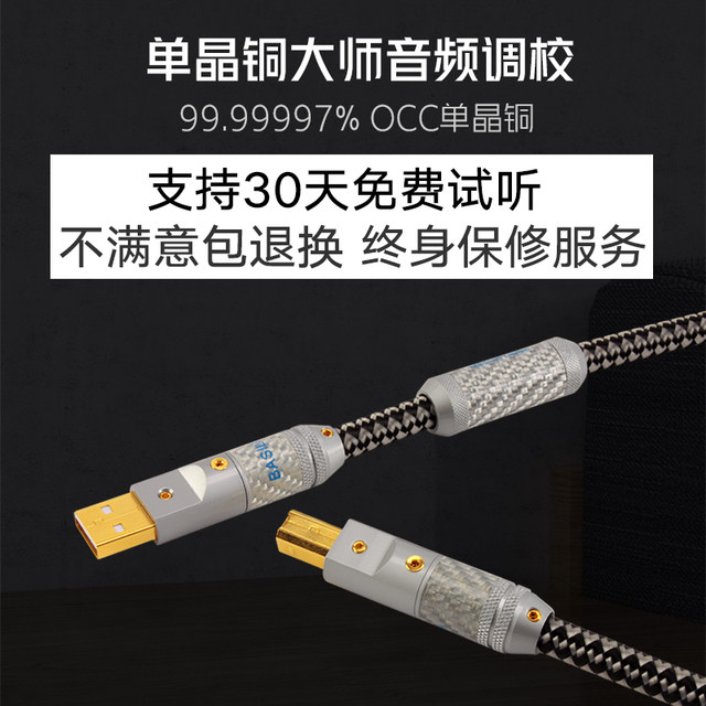 Gila monster single crystal copper USB audio cable Typec to square port ...