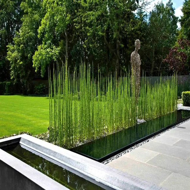 Equisetum potted plants are evergreen all year round, cold-resistant and light-loving, villa ...