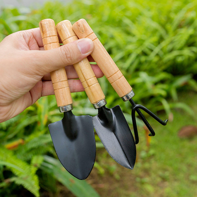 Gardening three-piece set of mini garden tools shovel/rake/shovel plant ...