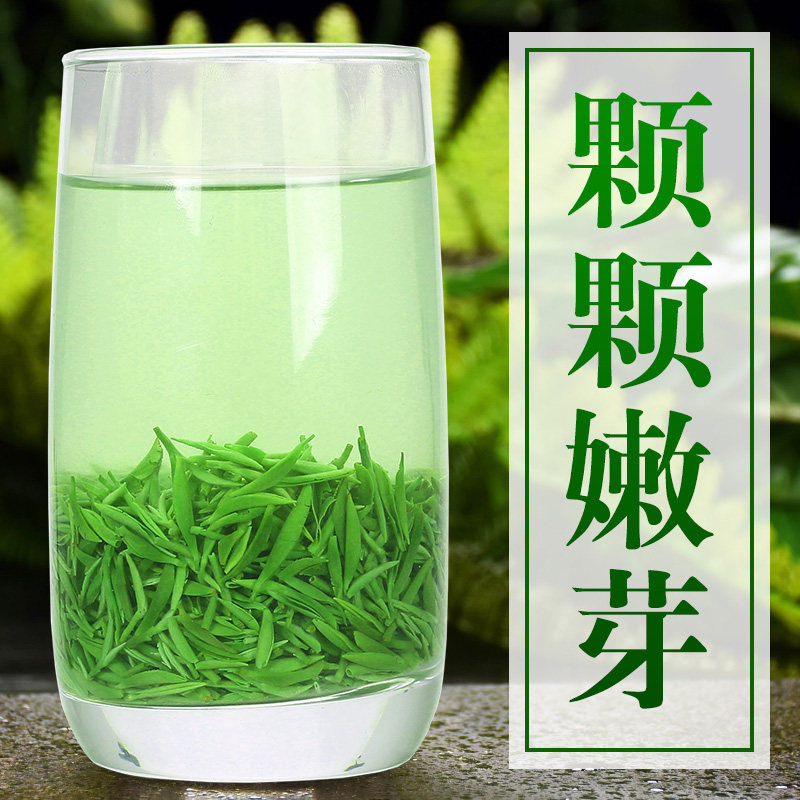 Xinyang Maojian Green Tea Gift Box - 250g - Spring Mingqian Special Grade