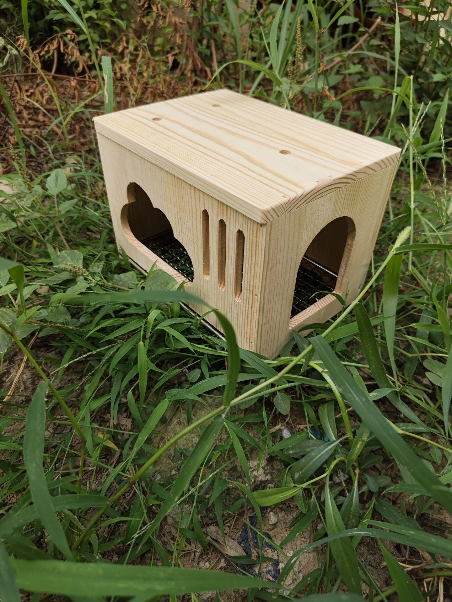 Mesh removal and maintenance of solid wood bird nest tiger bark peony ...