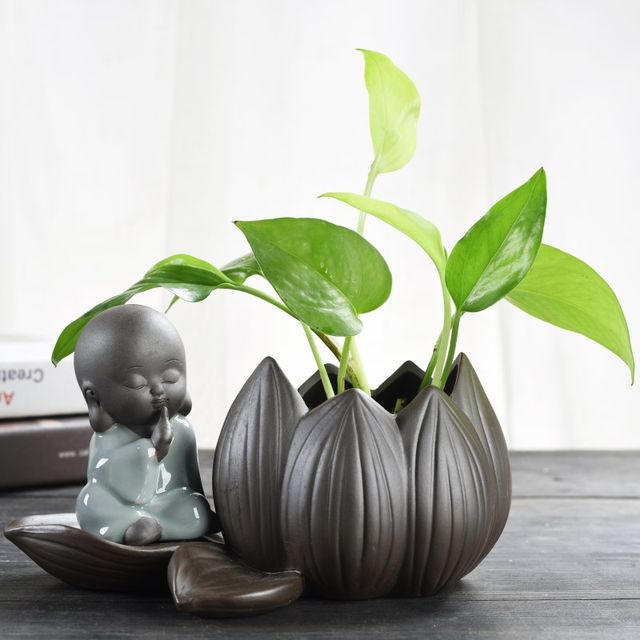 Creative Green Live Hydroponic Volume Flower Flower Plant Flower Basin ...