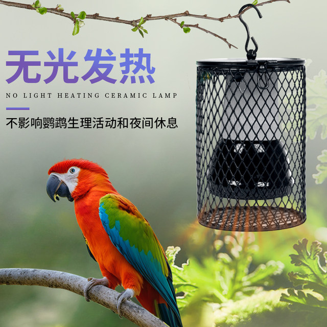 Parrot insulation lamp, rutin, chicken, bird-specific ceramic heating ...