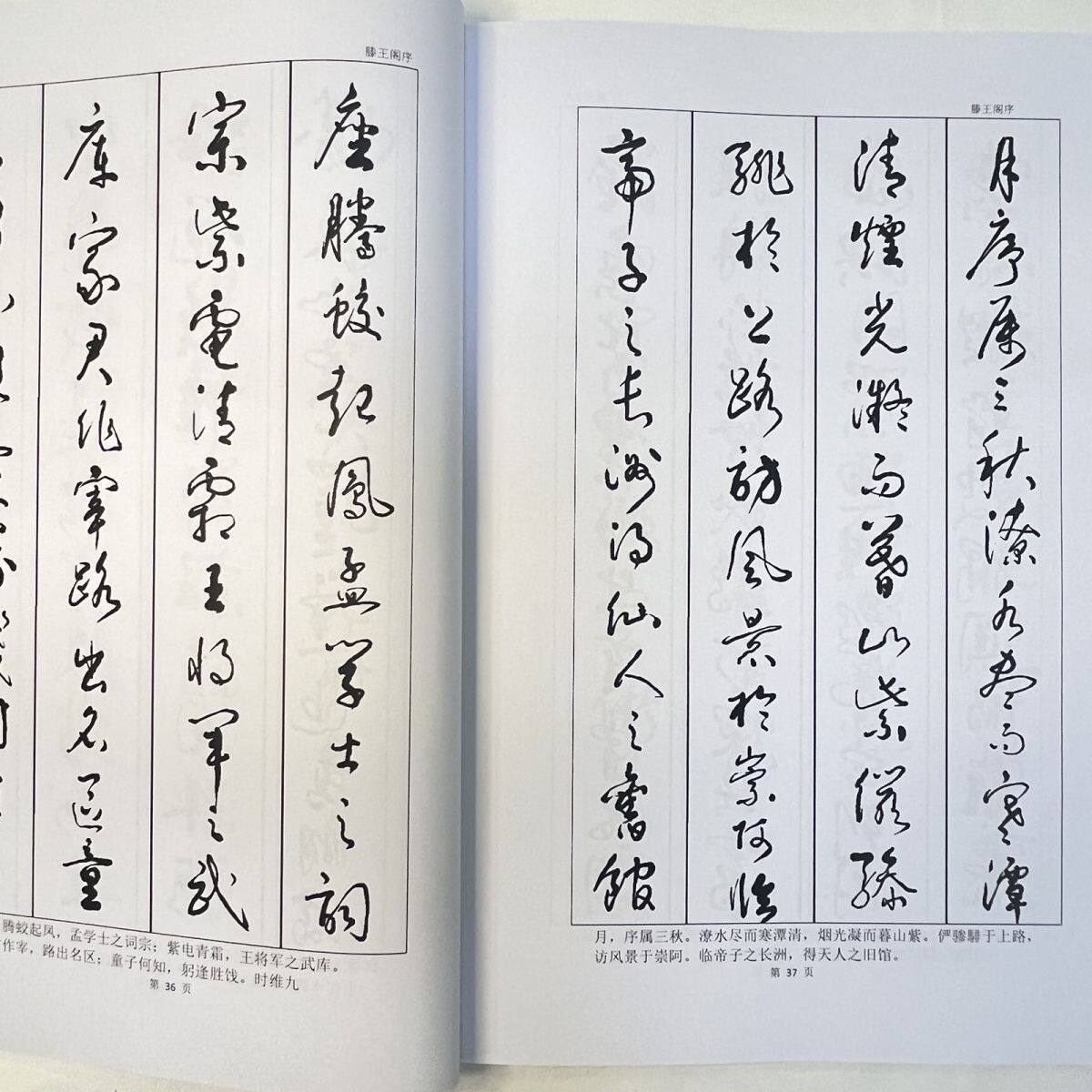 Adult brush calligraphy copybook cursive script famous family training ...