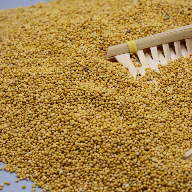 New yellow millet shelled millet bird food bird food feed small and ...