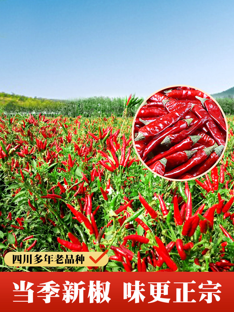 Sichuan Qixing Pepper Dried Chili 500g | Extra Spicy Fragrant Millet Chaotian Pepper