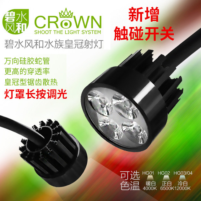 Fish tank spotlights, native South American rat fish, special-shaped ...