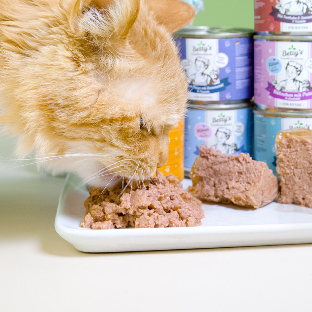 Native cat pet Boswelia German grandma staple food canned cat full ...