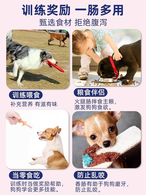 Dog ham sausage pet kitten meat sausage food chicken, duck and beef ...