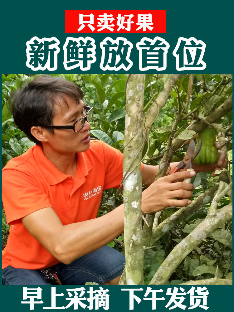 Buddha Hand Frukt - Fersk Bergamott - 500g