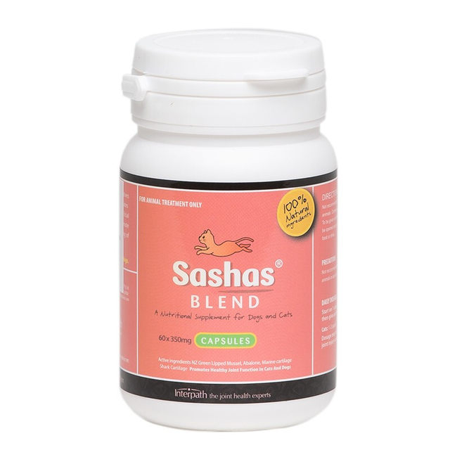 Sasha Shark Chondroitin 60 Capsules Sasha Powder Nutritional Supplement ...