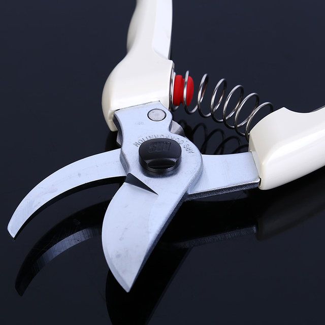 Japan Alice original ARS Alice 130DX pruning shears flower shears fruit ...