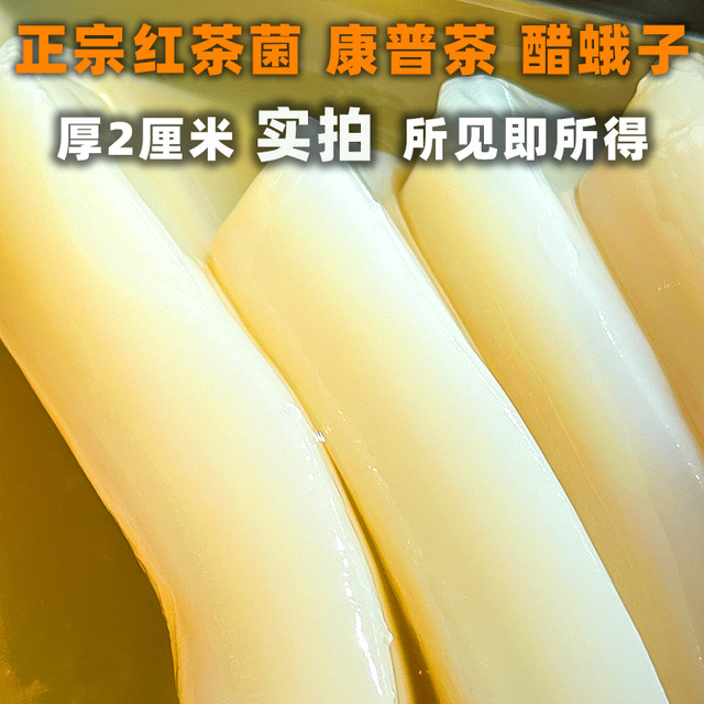 2 cm thick authentic kombucha enzyme mother strain Haibaowei Baomu ...