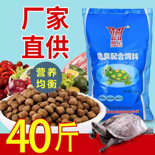 Tripod turtle feed high protein snapping turtle Brazilian turtle semi ...