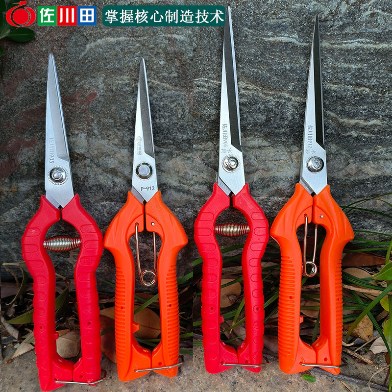 Sagawa field grape picking shears, thinning fruit and flower shears ...