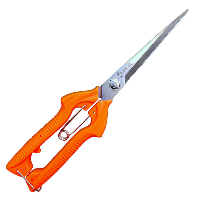 Sagawa field grape picking scissors thinning fruit and flower pruning ...