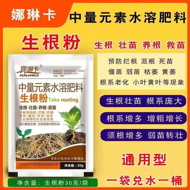Powerful rooting powder for transplanting cuttings to quickly ...