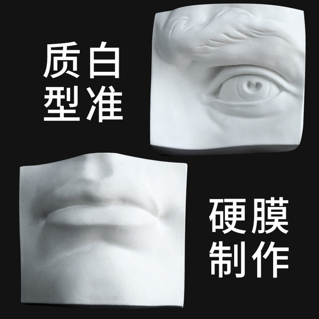Left painting material art test set of David plaster facial features ...