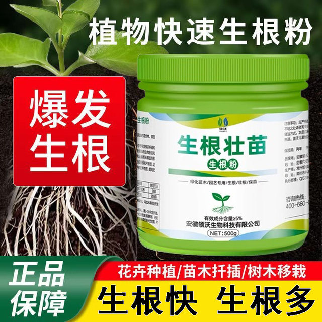 Powerful rooting powder for tree strong roots and strong seedlings ...