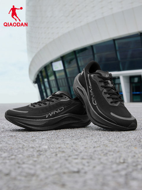 Strong Wind 2.0Pro Jordan Professional Marathon Running Shoes Full Palm ...