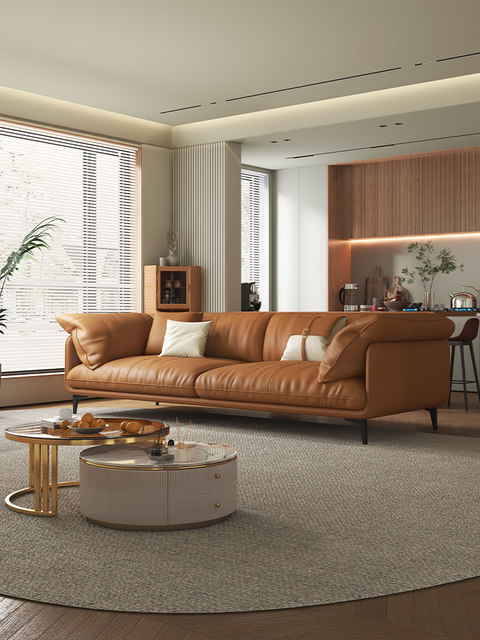Italian-Style Cat-Scratch-Resistant Leather Living Room Sofa, Modern ...