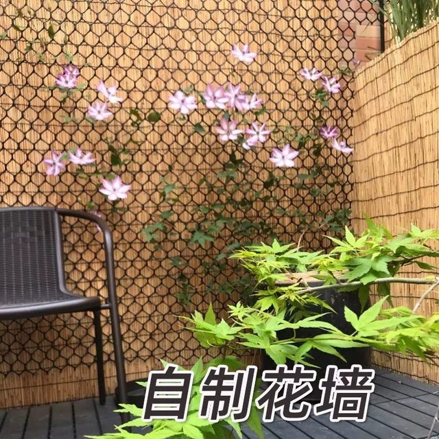 Rose flower wall frame grid plant climbing frame climbing rattan net ...