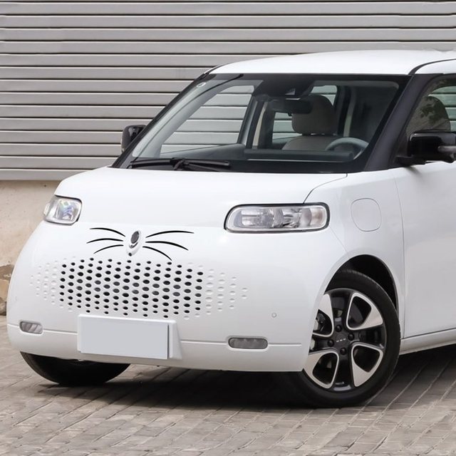 Euler R1 black cat car sticker R2 white cat front face cover ...