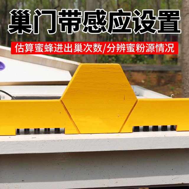 New smart bee box YiBee solar-powered beehive box can sense and adjust ...